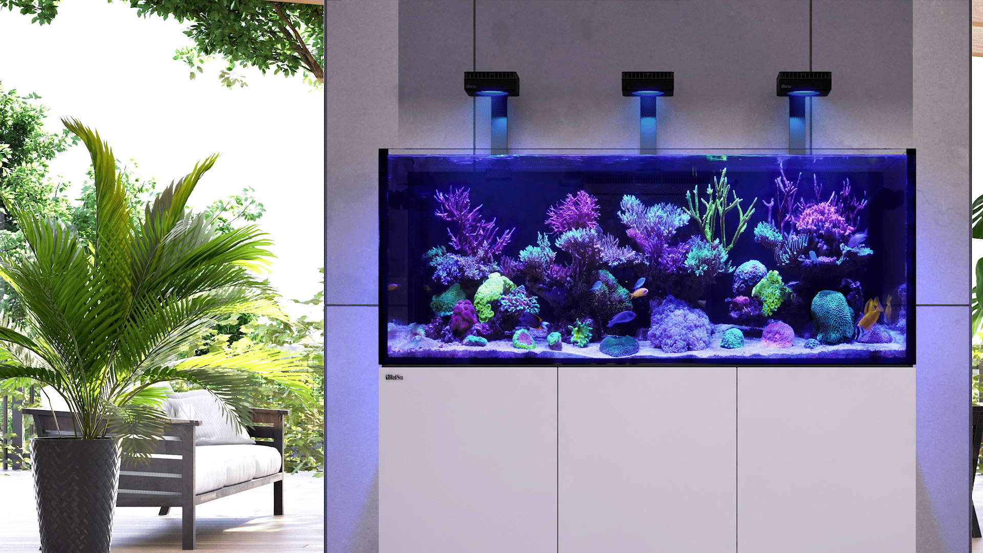 Aquarium Design and Planning – Your Aquarium