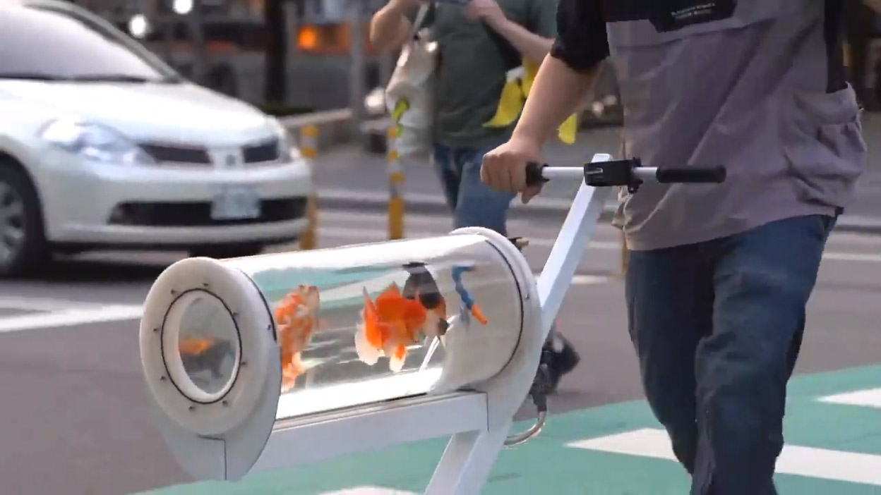 YouTuber Builds a Custom Fish Tank Pram for His Pet Goldfish – Your ...