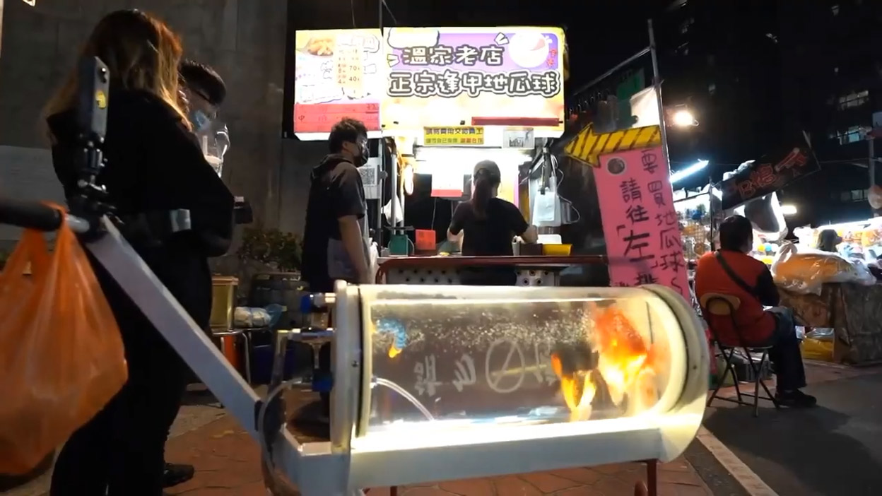 YouTuber Builds a Custom Fish Tank Pram for His Pet Goldfish – Your ...