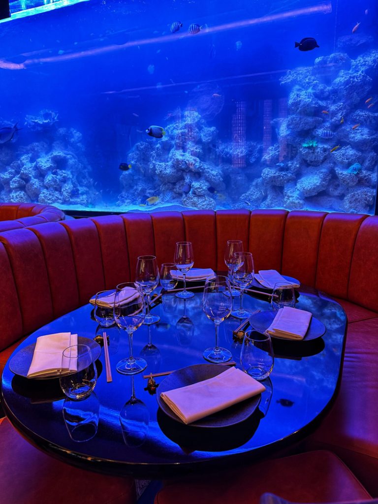 Sexy Fish Opens in Manchester – Your Aquarium